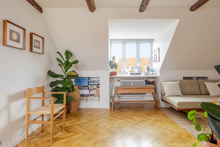 Penthouse - Copenhaguen