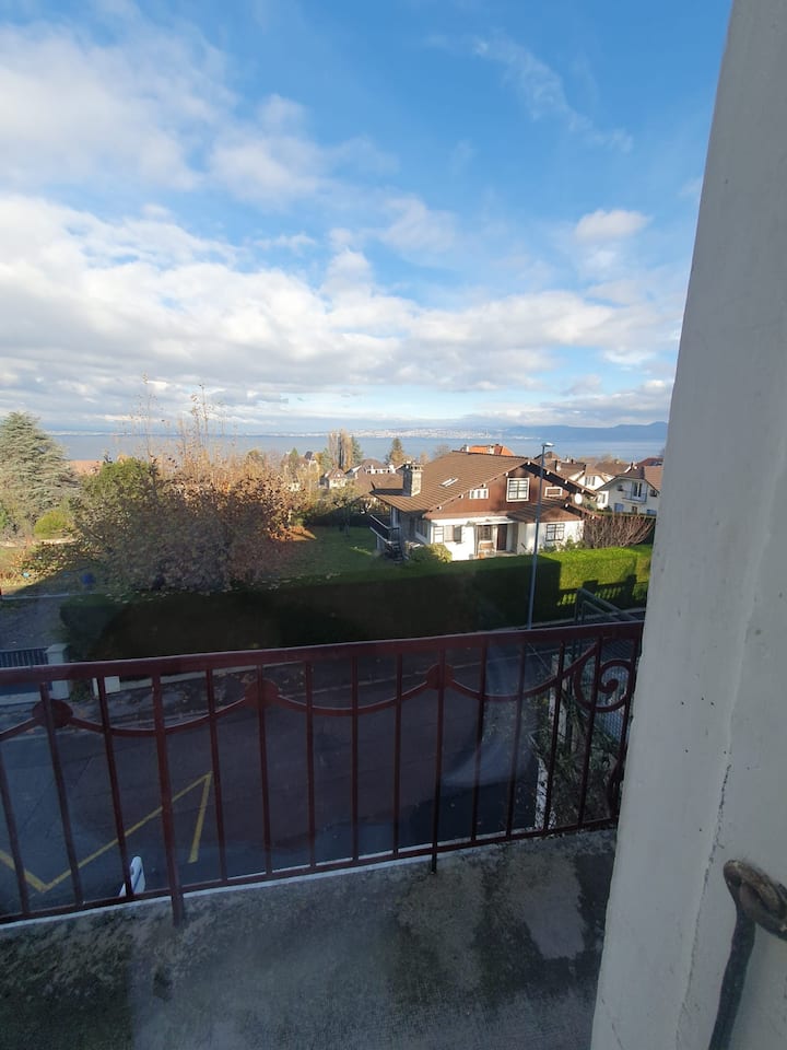 ÉVian-les Bains Superbe Appartement Vue Lac Jardin - Évian-les-Bains