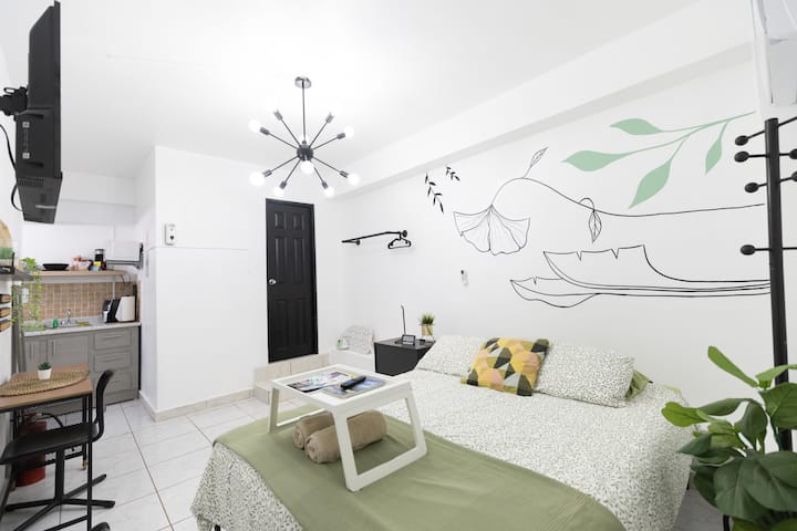 New! Studio In Santurce Apt A - San Juan