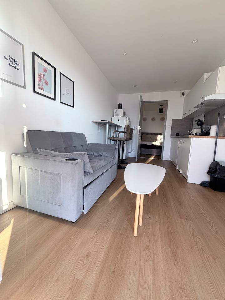 Appartement Vu Sur Jardin(appartement A) - La Roche-sur-Yon