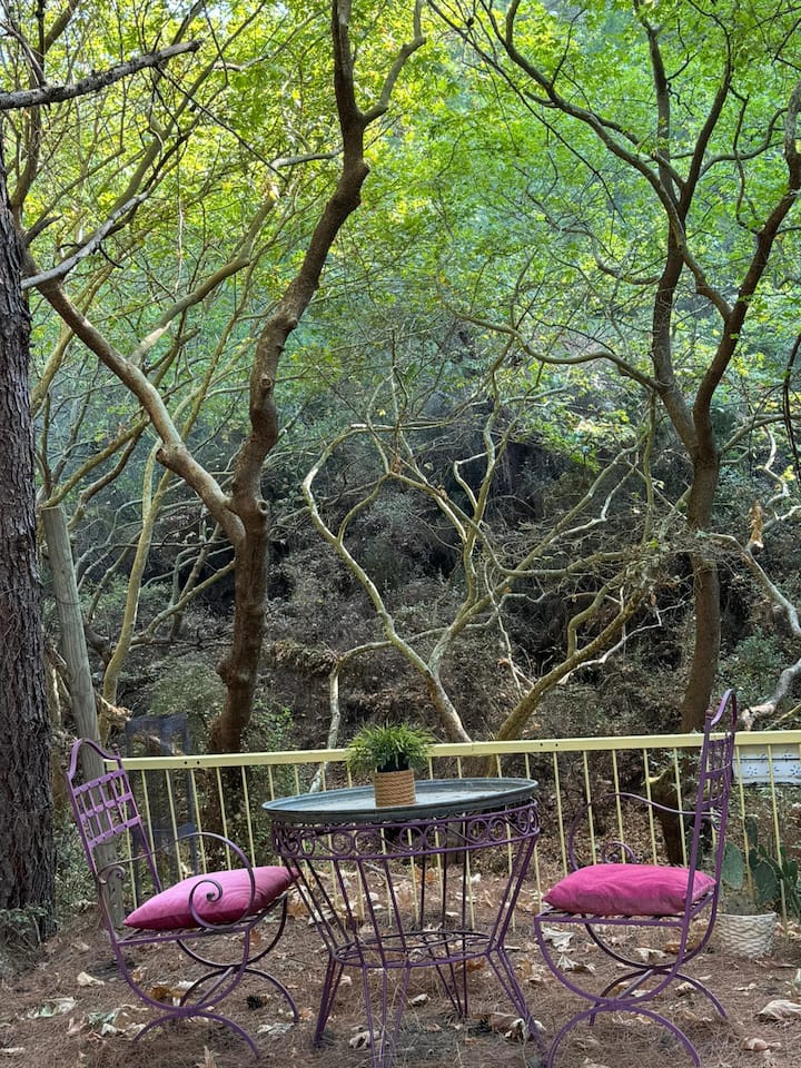 Orman Masal Evi -