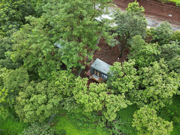 Wind Over Waters -Cabins Nestled In The Woods! - 拉瓦薩市