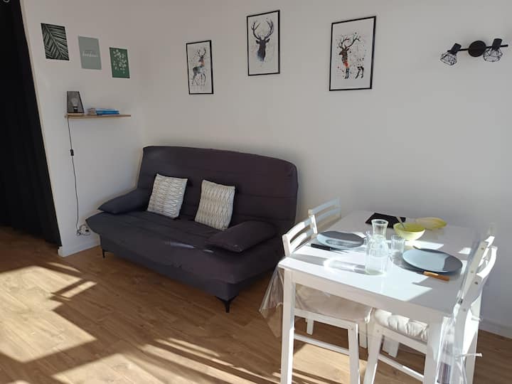 Cosy Studio 25 M2 Orienté Sud - Villard-de-Lans