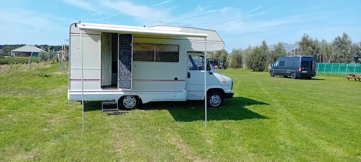 Camper Rosa Op Kleine Camping - Noordwijkerhout