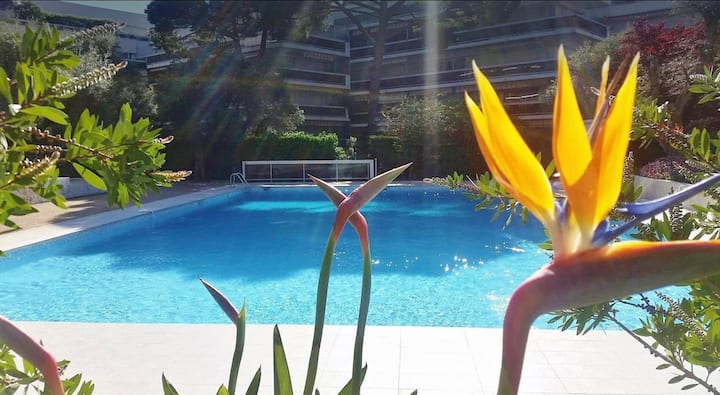 Grand Studio Près Des Plages, Piscine. - Antibes