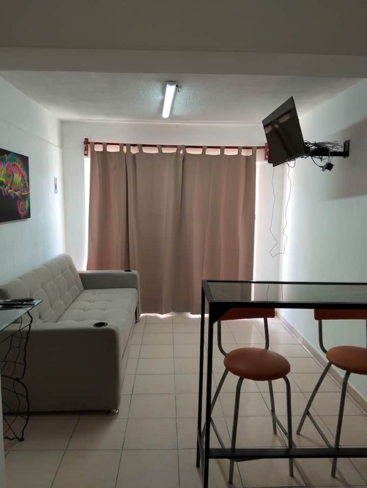 Céntrico Y Cómodo Departamento - San Luis Potosí
