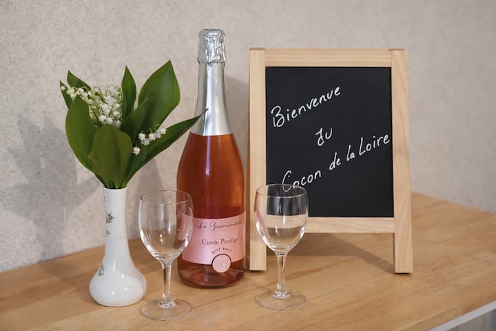 Le Cocon De La Loire (Nouveau) - Amboise