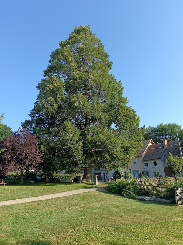 Gîte Du Tilleul - Gap