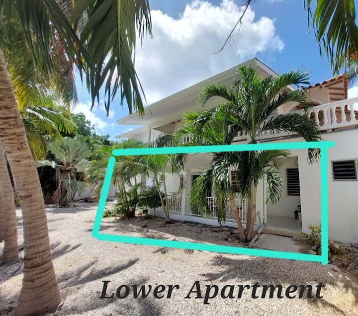 Fully A/c Apartment W/shared Pool, Utilities Incl. - Curaçao
