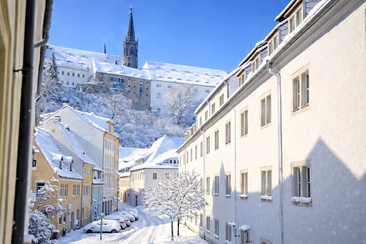 Fynbos Apartment 3 Zimmer, Loggia & Parkplatz - Meißen