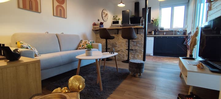 Le Jungle, Appartement T2, 35m² Avec Cour - Tonnerre