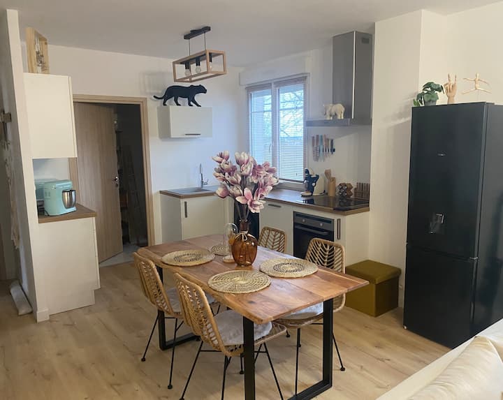 Appartement Chaleureux Besançon - Besançon