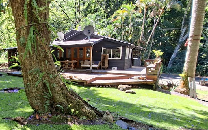 The Nest. - Mullumbimby