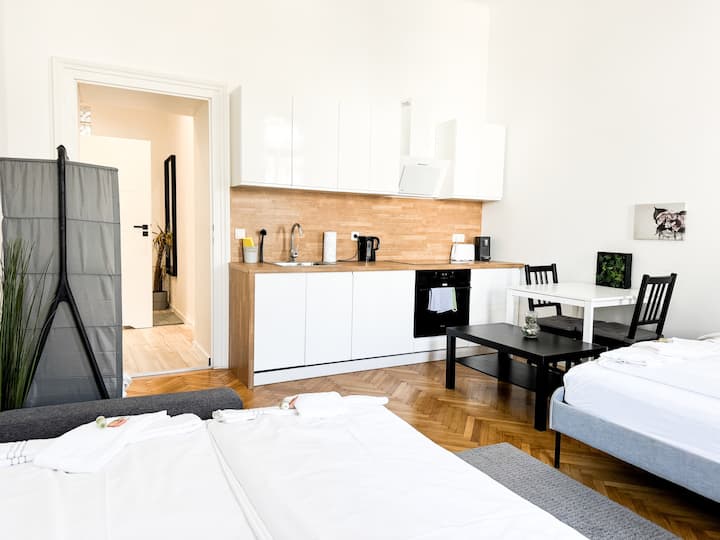 Stilvolles Apartment. - Vienna