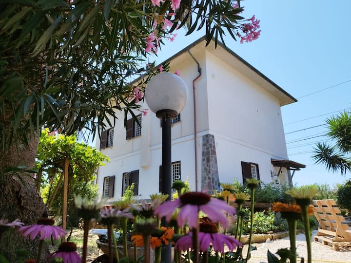 B&b La Domus Di Cosa - Orbetello