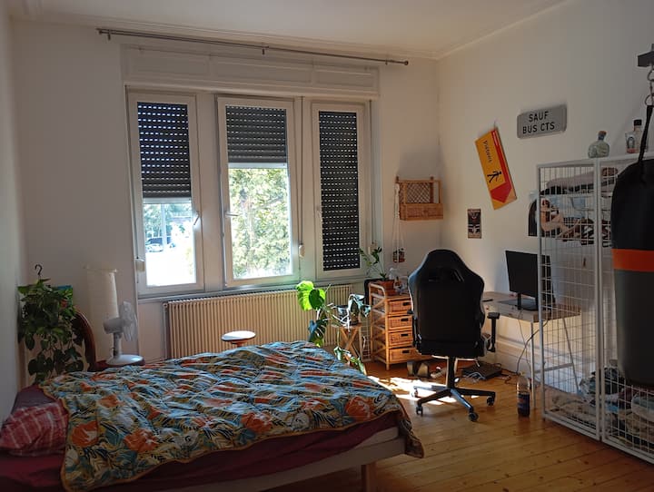Cosy Room Close To The Center - Strasbourg