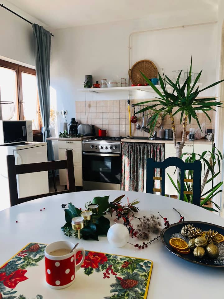 Repülőhal 4 Fős Apartmanház - Nagymaros