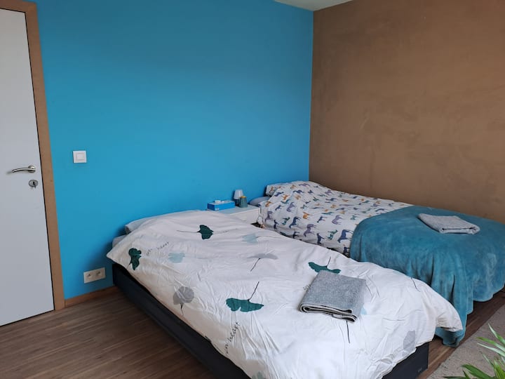 Ecologische Kamer 2 Aparte Bedden - Ghent (Belgium)