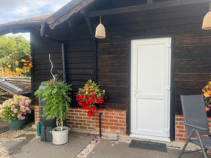 The Little Red Lion - Staines-upon-Thames