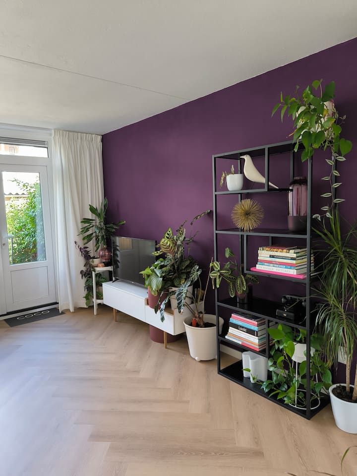 Kamer In Centrum Met Werkplek - Breda