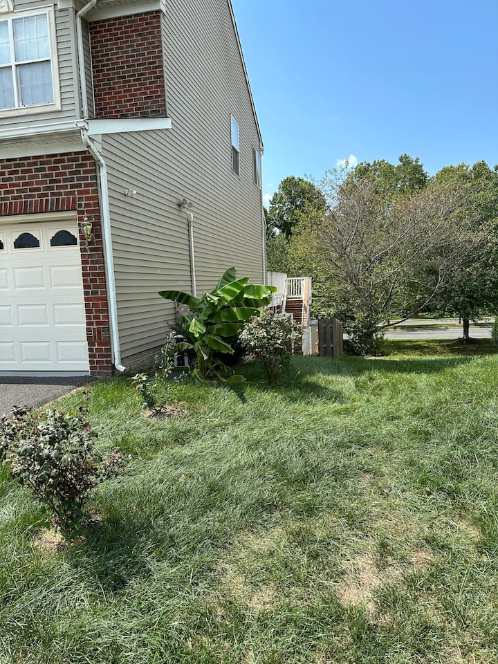 Basement Studio Apartment - Manassas, VA