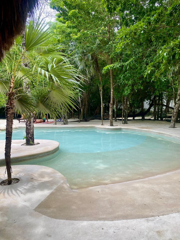 Cómodo Departamento Con Alberca - Puerto Morelos