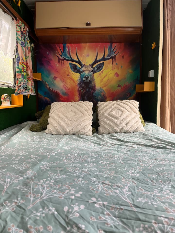 Séjour Insolite En Caravane, Rétro - Pas-de-Calais