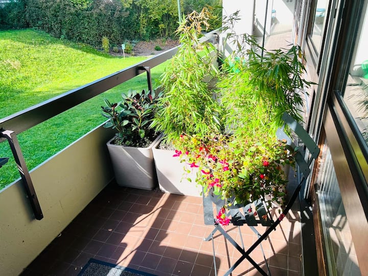 Ruhiges Zimmer Mit Eigenem Bad - Zúrich, Suiza
