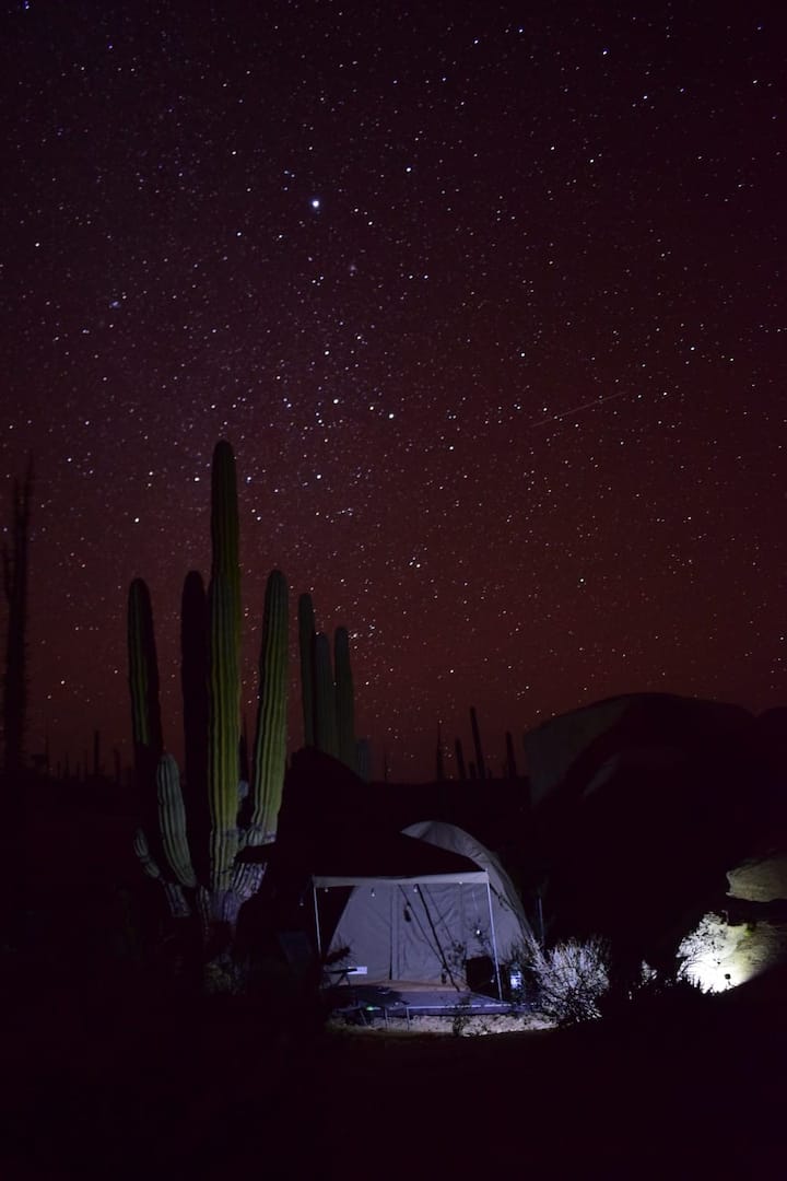 Camping + Café - Baja California