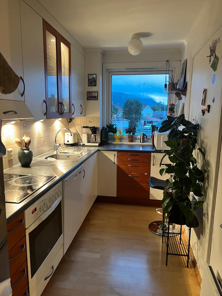 Rom I Leilighet - Tromsø