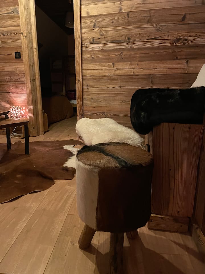 Appartement De Charme, T2, Skis Aux Pieds - Morzine