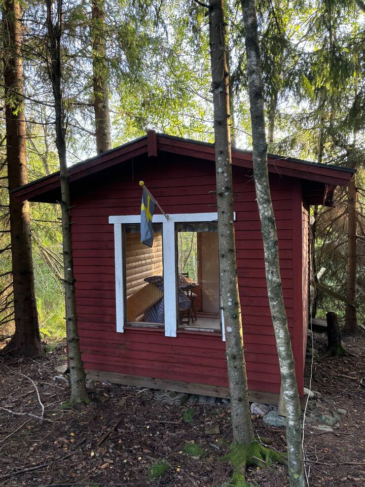 Small Swedish Log Cabin - Ed