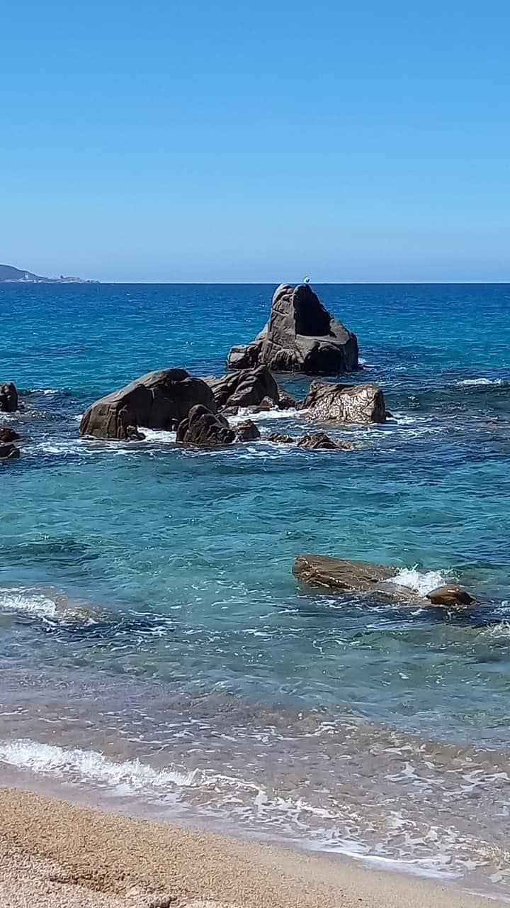 Amoureux De Nature Et De Calme - Coti-Chiavari