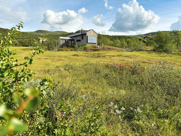 Arkitekttegnet Perle På Ustaoset - Norway
