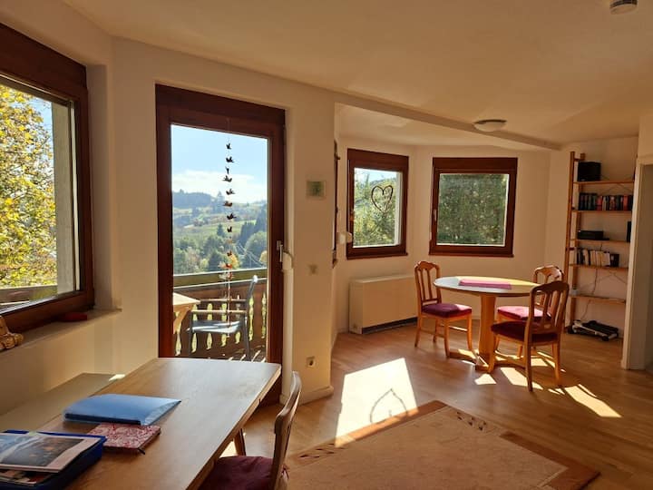 Schöne Aussicht In Ruhiger Lage - Herrischried