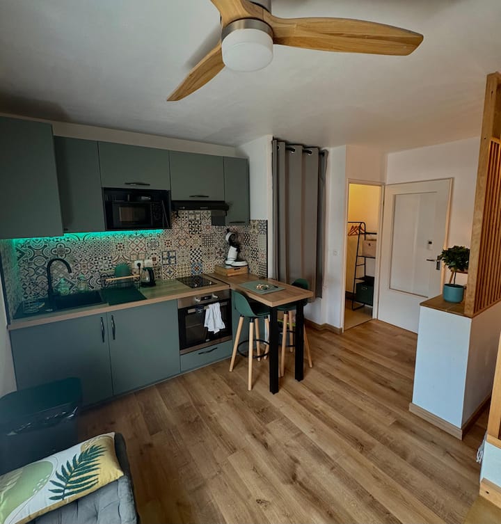 T1 Cosy Tout éQuipé, Proche Airbus/aéroport - Toulouse-Blagnac Airport (TLS)