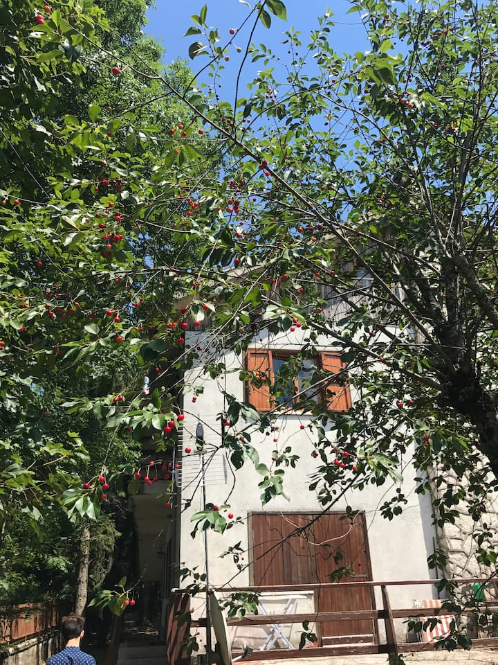 Appartamento In Villa - Civitella Alfedena
