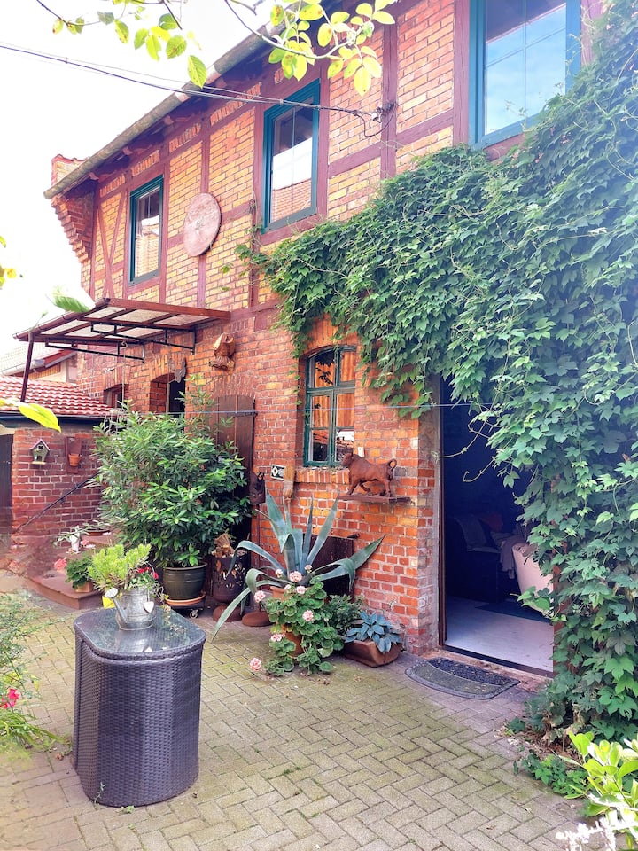 Thebackyard - Harz
