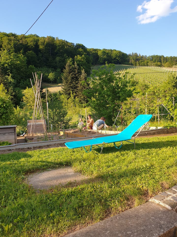 Natur Pur, Idylisch Gelegene Fewo - Reute