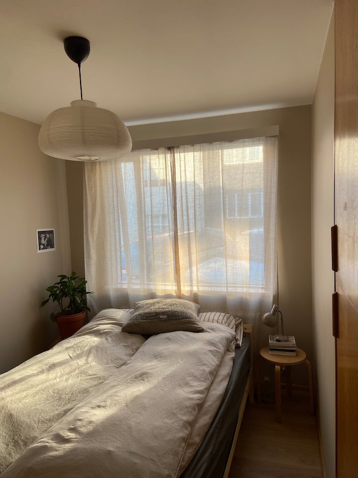 Charming Apartment-steps From Cafés & Free Parking - Reykjavik