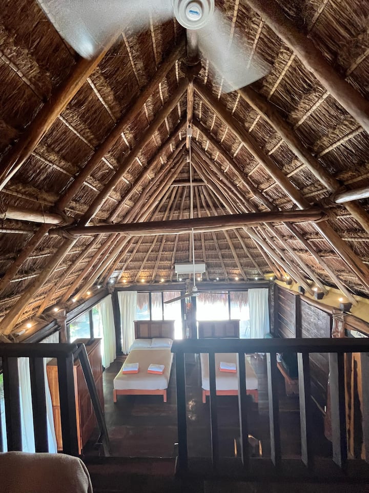 Tiburón Ballena - Isla Holbox