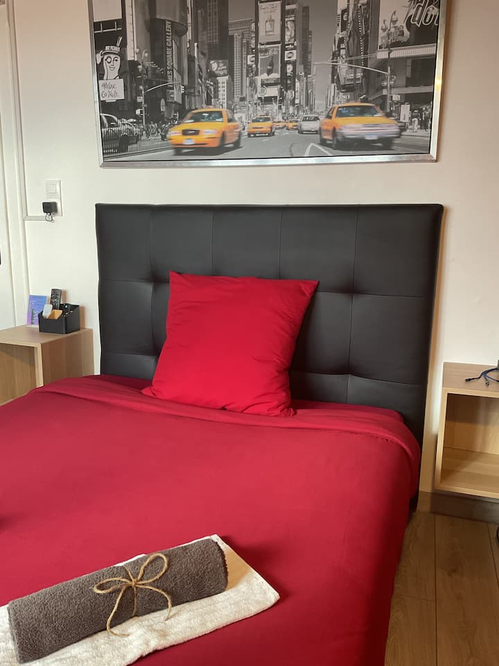 Chambre Dans Appartement De 70m2 Proche Cnpe - Thionville