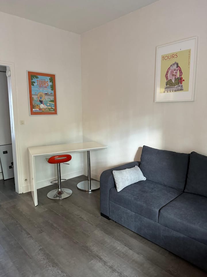 T2 Hypercentre De Tours - Avenue De Grammont - Tours