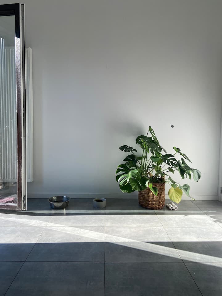 Boubou House - Namur
