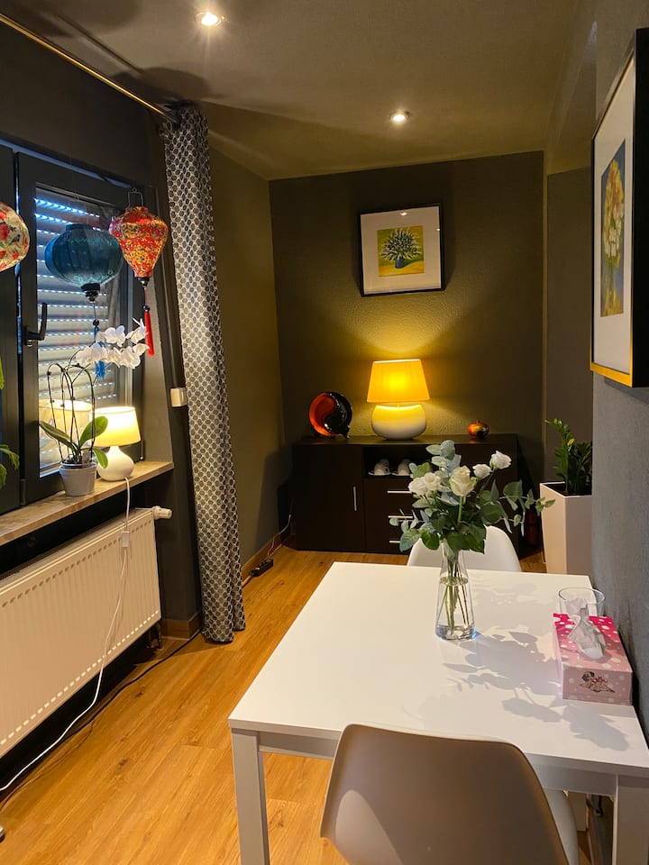 Elegante Große Einzimmerwohnung - Lörrach