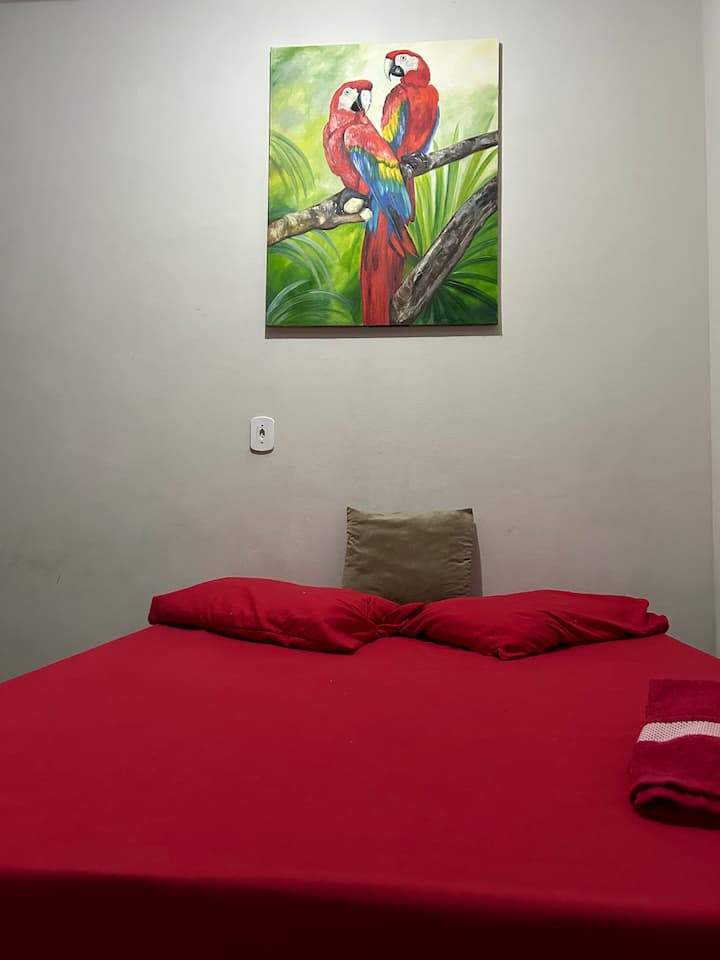 Casa Perfeita  Com Ar-condicionado Em Bairro Nobre - Campo Grande