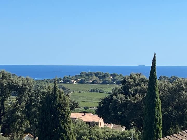 Le Paradis D’alba - La Croix-Valmer