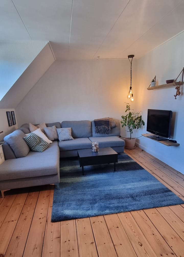 Cozy Apartment Right In City Centre Main Street - Odense