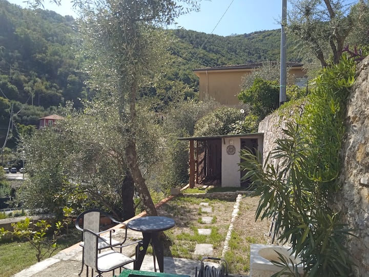 "Gli Ulivi Del Blu"parking, Giardino, Vicino Mare - La Spezia