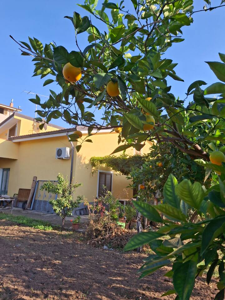 Le Querce (Bilocale Per 4) - Paola